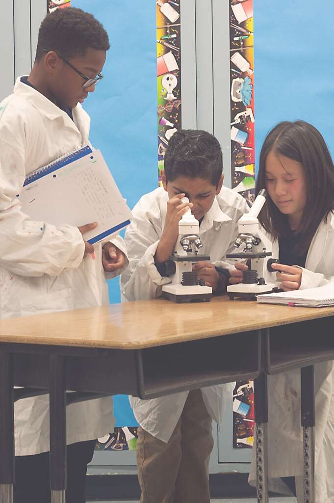 School Explorer (School Search)
