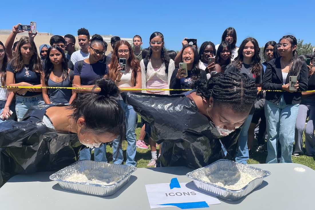 School Explorer (School Search)